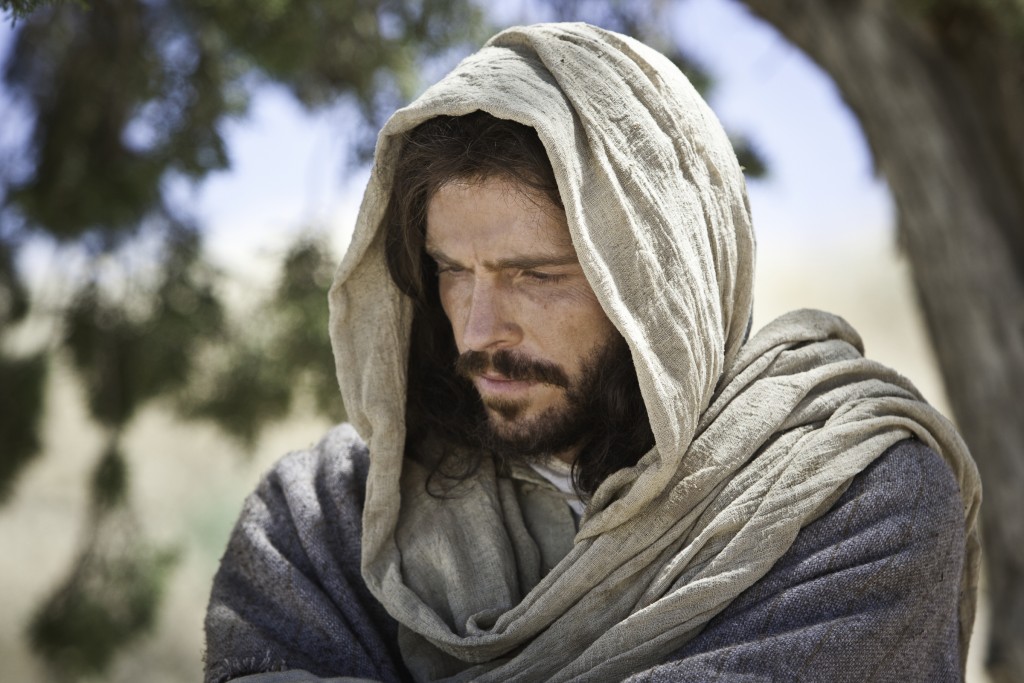 The humanity of Jesus